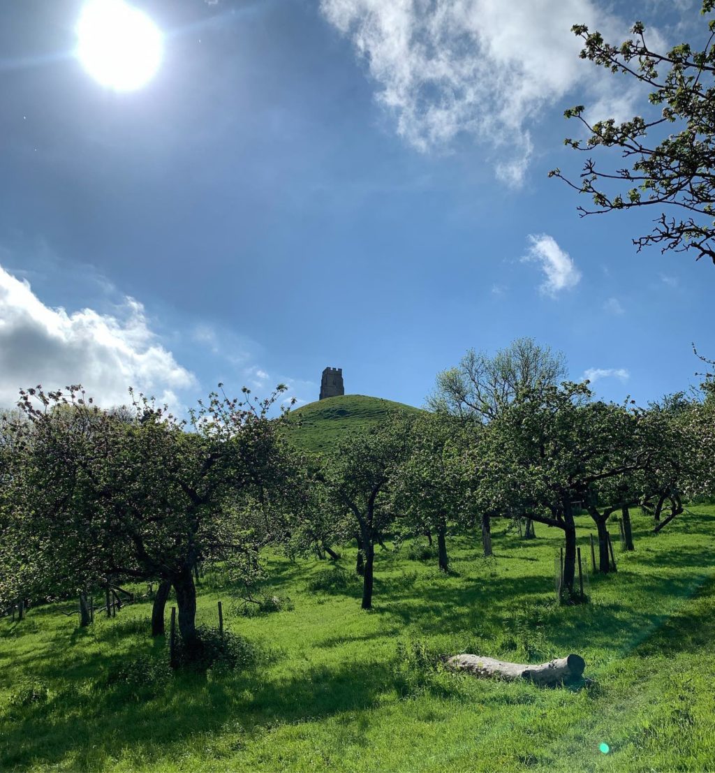 Culture Rooted in Nature: Trees as Cultural Heritage – EUROPEAN ...