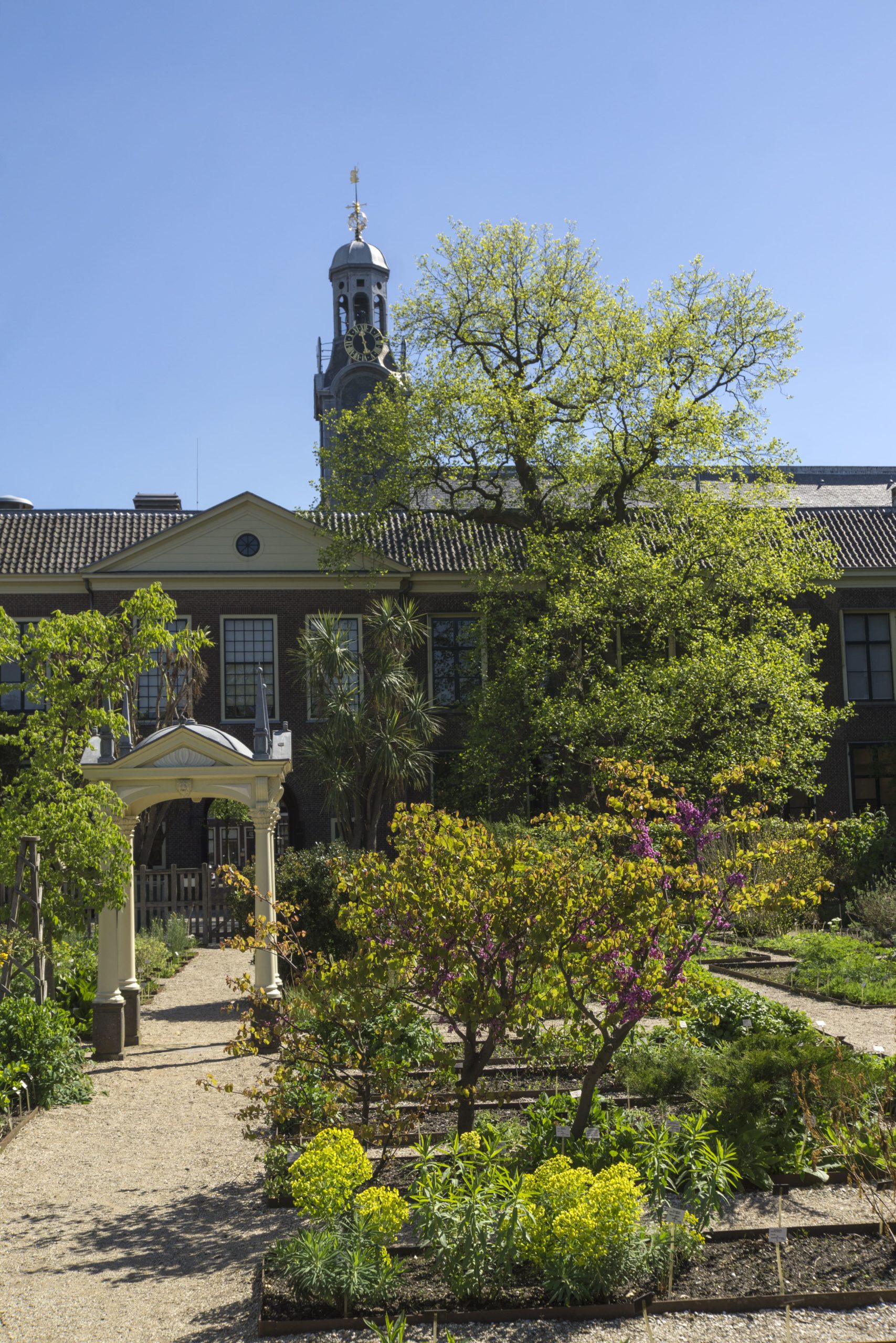 Gardening the History – EUROPEAN HERITAGE TIMES